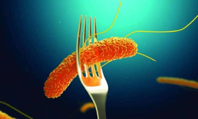 ¿Qué es la salmonelosis?: causas y síntomas