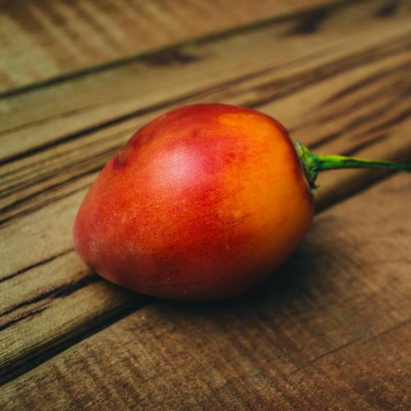 Los beneficios de consumir tomate de árbol en ayunas Los beneficios de consumir tomate de árbol en ayunas
