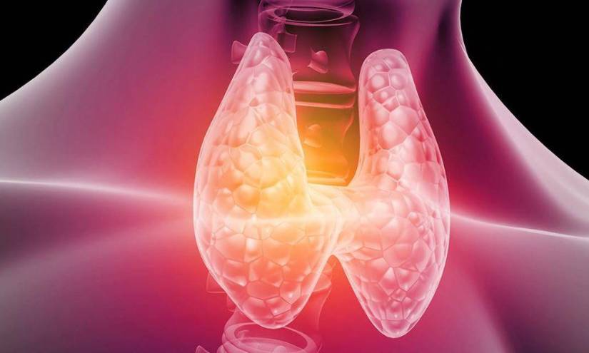 ¿Cuáles son los síntomas del hipotiroidismo?